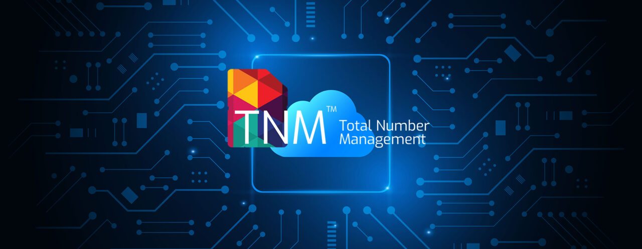 Comprehensive Phone Number Management for Telecom Operator